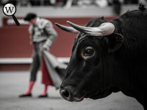 Do Bulls Hate Red? Myths and Facts About Bull Behavior