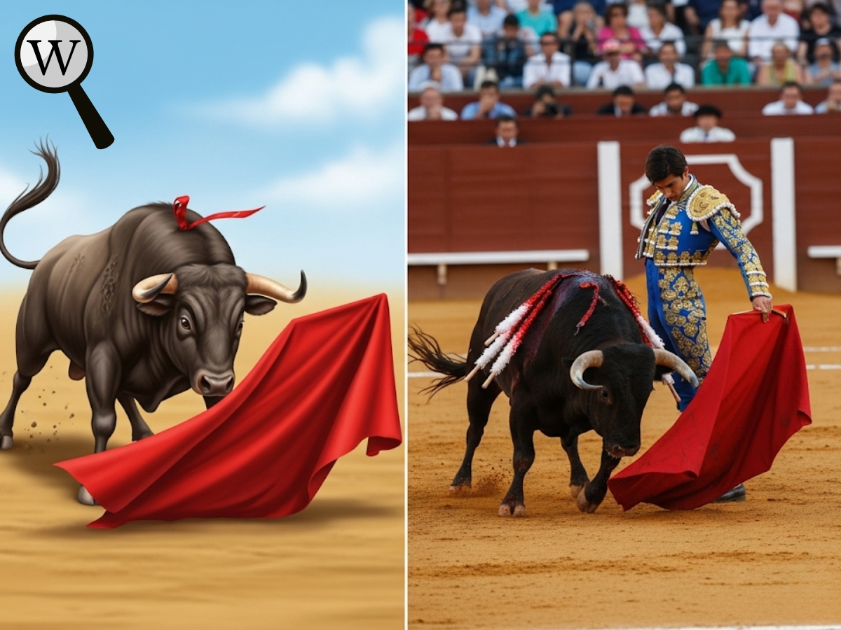 Do Bulls Hate Red? Myths and Facts About Bull Behavior